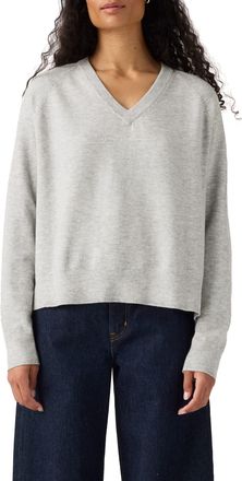 Levi's Womens Tara Super Soft V-Neck Pullover, Color Propose to Me, Size XS