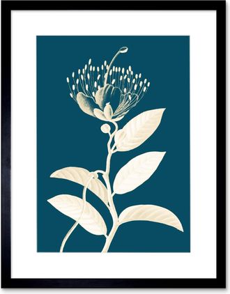 Wee Blue Coo Modern Bold Biodiversity Blue Plant Artwork Framed Wall Art Print 12X16 Inch Blau Pflanze Wand