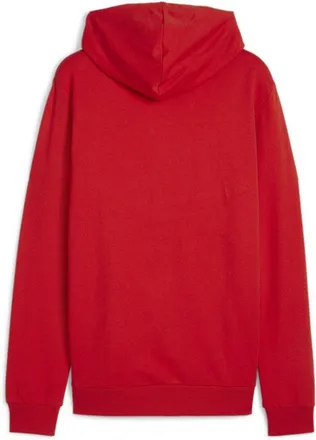 Puma Hoodie TeamGoal CasuaLongsleeve Hoody