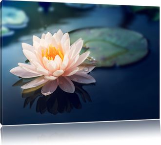 Pixxprint Eine rosa Lotusblume in Teich, Größe: 120x80cm, Leinwandbild, fertig gespannt, Wandbild, Dekoration, Kunstdruck, kein Poster