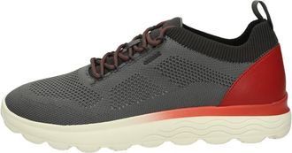Geox Homme, Chaussures, Gris, Taille: 43 EU Baskets Basses en Tissu