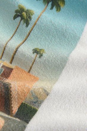 Next T-Shirt Sommerliches T-Shirt aus Frottee mit Grafik, Auto (1-tlg)