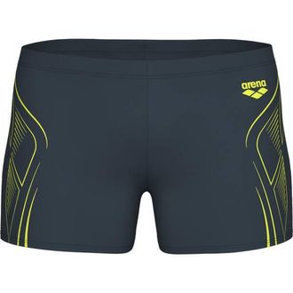 Arena Badehose MENS REFLECTING SWIM SHORT