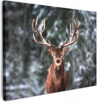 MuchoWow © Leinwand Bilder 70x50 cm Wanddeko Wohnzimmer Aesthetic Room Decor Deko Zimmer Wandbilder Modern Bild auf Leinwand Hirsche - Winter - Schnee - Wald -