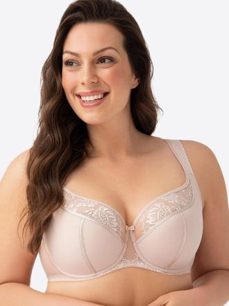 Gorsenia BH K647 Alicante