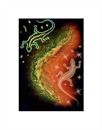 Wee Blue Coo Painting Drawing Aboriginal Australian Lizard Style Framed Art Print B12X13155