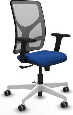 Piqueras y Crespo Ergonomischer Stuhl mit hoher R&uuml;ckenlehne, mit 2D-Armlehnen, h&ouml;henverstellbare Lendenwirbelst&uuml;tze, ausgestattet mit 3 Positionen und Schneideschaum, G