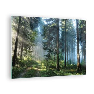 Arttor Bilder auf Glas Wald Dämmerung die Sonne Glasbild 70x50cm Wandbilder Dekoration Wohnzimmer Schlafzimmer Küche Deko Klein Wanddeko Bild im Glas Wand Ku