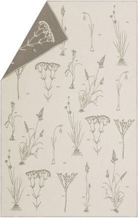 David Fussenegger Wohndecke Bett Divan &Uuml;berwurf Nova Herbarium 145 x 220 cm Rohwei&szlig;