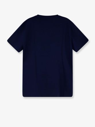 Polo Ralph Lauren Mens T-Shirt Classic Fit Blue Cotton T-Shirts And Polos