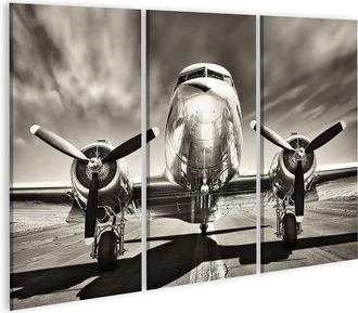 Islandburner Prime Bild auf Leinwand Retro Flugzeug Bilder Wandbilder Poster