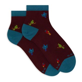 Gallo Gallo, Femme, Sous-v&ecirc;tements, Multicolore, Taille: ONE Size Chaussettes Tr&egrave;s Courtes
