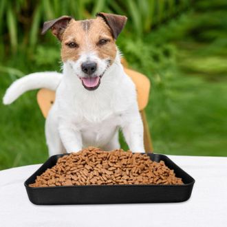 SOLUSTRE Kunststoff Schuhtablett mit Rutschfester Unterseite Mehrzweck Ablagefach f&uuml;r Schuhe Haustierfutter und Pflanzent&ouml;pfe Schuhablage f&uuml;r Innen und Au&szlig;enbe