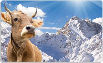 Wallario Frühstücksbrettchen aus Glas, Glasunterlage, Glasbrettchen Kuh im Sonnenschein in den Alpen, Größe 14 x 23 cm, Sicherheitsglas