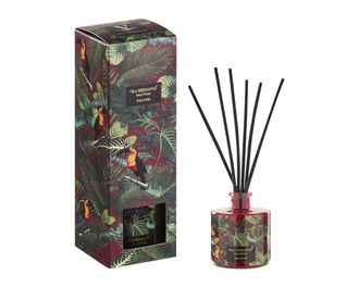 Vila Hermanos Wild Musk Reed Diffuser 100 ml - Raumduft mit Moschus, H&ouml;lzern & Amber - Handgefertigt in Spanien - Jungletopia Kollektion