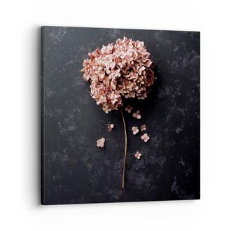 Arttor Bilder auf Leinwand Blume Hortensie Natur Leinwandbild 30x30cm Wandbilder Dekoration Wohnzimmer Schlafzimmer Küche Deko Klein Wanddeko Bild Wand Kunst