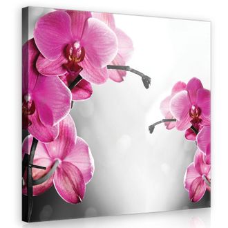 ForWall Leinwand Bilder - Orchidee Blumen 3D Abstrakt - 80x80 cm Leinwandbilder - Bild auf leinwand - Wandbild XXL groß Wandbilder für Wohnzimmer Schlafzimmer