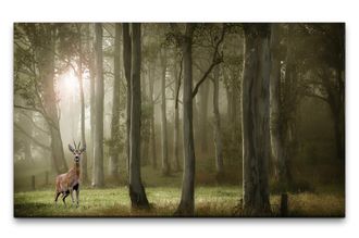 Paul Sinus Art Bilder XXL Wald mit Rehbock 120x70cm Wandbild auf Leinwand