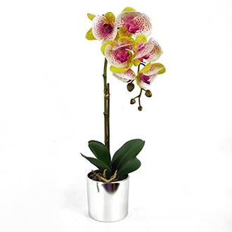 Leaf Design UK Realistische k&uuml;nstliche Orchidee im Topf