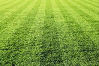 Scenolia Wandbild Acrylglas auf der Schuppe, 60 x 40 cm | Wandbild Qualität 100