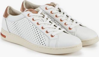 Geox Baskets basses Jaysen perfor&eacute;es