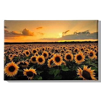 Homemania Wandbild, Motiv: Blumen, Natur und Landschaft, für Wohnzimmer, Schlafzimmer, mehrfarbig, 45 x 3 x 70 cm, -HM20KNV45 x 70 - 206, Polyester, Holz
