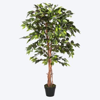Homescapes Künstlicher Ficus benjamini, 120 cm große grüne Birkenfeige im Topf, realistische Blätter und Echtholz-Stamm - Kunstpflanzen wie echt