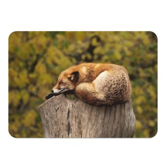 Fabulous Platzset mit Unterseite aus Kork, Motiv: Fuchs, schlafend auf einem Stamm, gro&szlig;, 39,5 x 28,5 cm