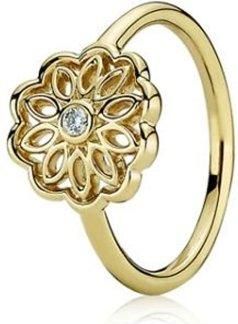 Pandora Pandora - 150168D53 - Bague Femme - Or Jaune 585/1000 (14 Cts) - T 53 (16.9)