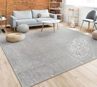 Paco Home Tapis Salon Uni Sobre Et Moderne Poils Ras, Diff. Tailles/Coloris, Dimension:200 cm Rond, Couleur:Argent