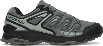 Salomon Trekkingschuhe Salomon Extegra Gtx Gore-Tex L49136000 Grau