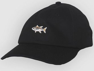 Salty Crew Fishsticks Dad Cap black