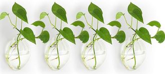 Nuptio Glas Wandvase Blumentopf Pflanzgefäße: Wasser Wandbehang Glasvase für Pflanzen Innen - Hängetöpfe Vasen Luft Blumenvase Terrarien für Raum Wohnzimmer 