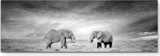 Paul Sinus Art Leinwandbilder | Bilder Leinwand 150x50cm zwei Elefanten schwarzweiß