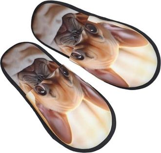 Generic Animal Chien Bouledogue Fran&ccedil;ais2 Unisexe Chaussures De Maison Doux Pantoufles Respirantes Chaussons Pour Ext&eacute;rieur Int&eacute;rieur Hiver M