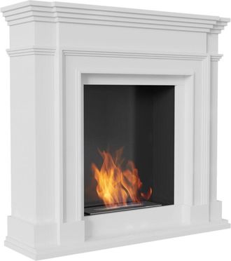 Kratki Bioethanol Ethanol Kamin Biokamin Legionis Weiss Standkamin Ethanol Ofen