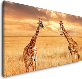Paul Sinus Art Giraffen in der Savanne 120x 60cm Panorama Leinwand Bild XXL Format Wandbilder Wohnzimmer Wohnung Deko Kunstdrucke