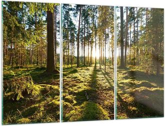 Arttor Mehrteilige Bilder auf Glas 165x110cm Glasbild Wald Baum Natur Groß XXL Wanddeko Schlafzimmer Küche Set 3 teilige Wandbilder Dekoration Wohnzimmer Mod