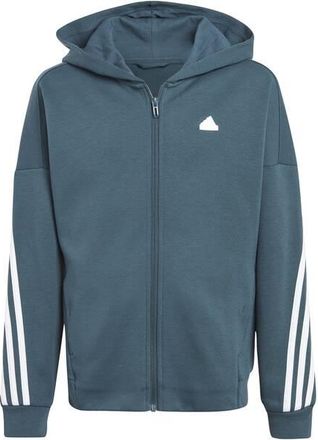 adidas Kinder Kapuzensweat Future Icons 3-Streifen
