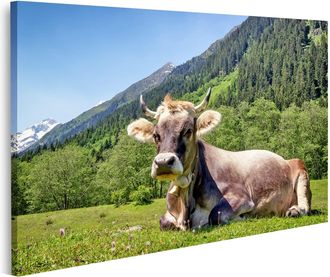 Islandburner Bild auf Leinwand Kuh In Den Alpen Bilder Wandbilder Poster