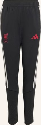 adidas Fc Liverpool 26/27 Tiro Kids Trainingshose schwarz