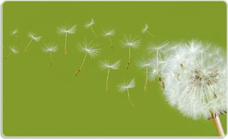 Wallario Frühstücksbrettchen aus Glas, Glasunterlage, Glasbrettchen Pusteblume auf der Wiese mit fliegenden Samen, Größe 14 x 23 cm, Sicherheitsglas