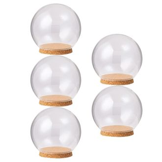 Exceart 5 Stück Glasglocke Globus Display Kuppel mit Holzsockel dekorative Glasglocke Glocke Vitrine für Sammlerstücke verzauberte Rose kleine Bier Exemplare 