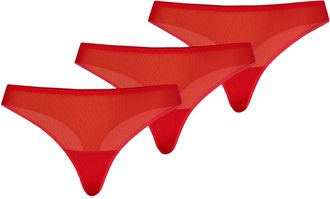 Teyli String Nikola
