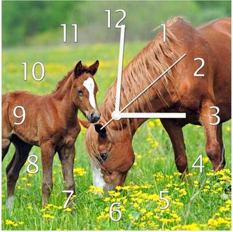 Wallario Design-Wanduhr Pferde auf der Koppel aus Glas, Motiv-Uhr Gr&ouml;&szlig;e 30 x 30 cm, wei&szlig;e Zeiger