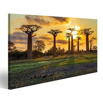Islandburner Tableau sur toile Beaux lacs darbres au coucher du soleil dans lavenue des baobabs &agrave; Madagascar Cadre Affiche Poster Murale Tableaux