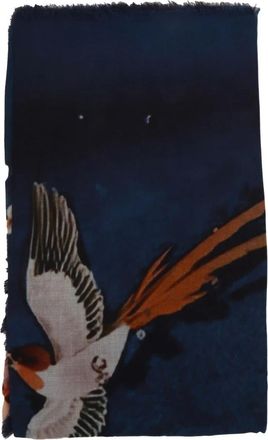 D'Aniello Femme, Accessoires, Multicolore, Taille: ONE Size Sciarpa Elba