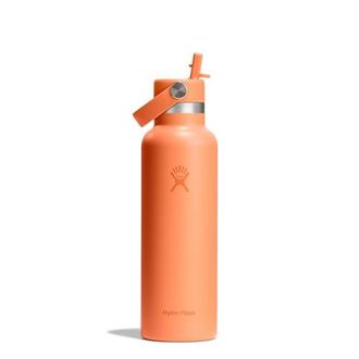 Hydro Flask Standard Flex Straw Cap 621 ml (21 oz) Bottle - Acier Inoxydable, &Eacute;tanche, Compatible Porte-Gobelet - Isotherme Froid 24 h - Nectar