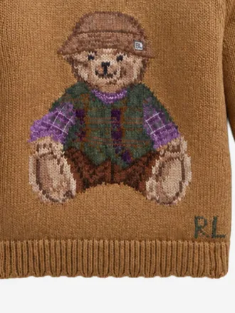 Polo Ralph Lauren Boys Cotton Sweater Brown