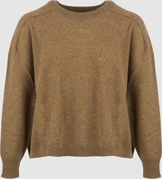 Notshy Pull Gaston Thym